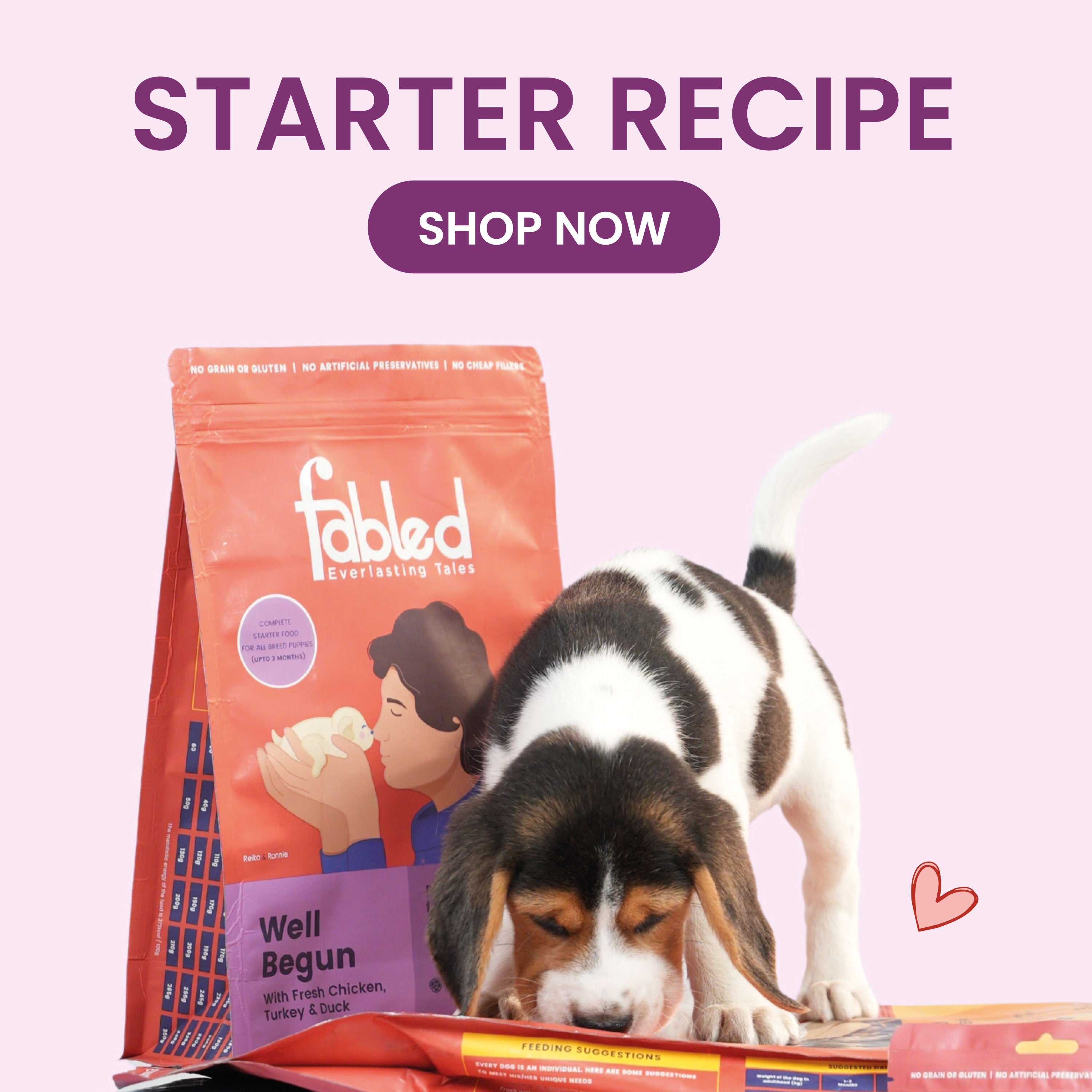 Starter Recipe – Fabled Pet Food
